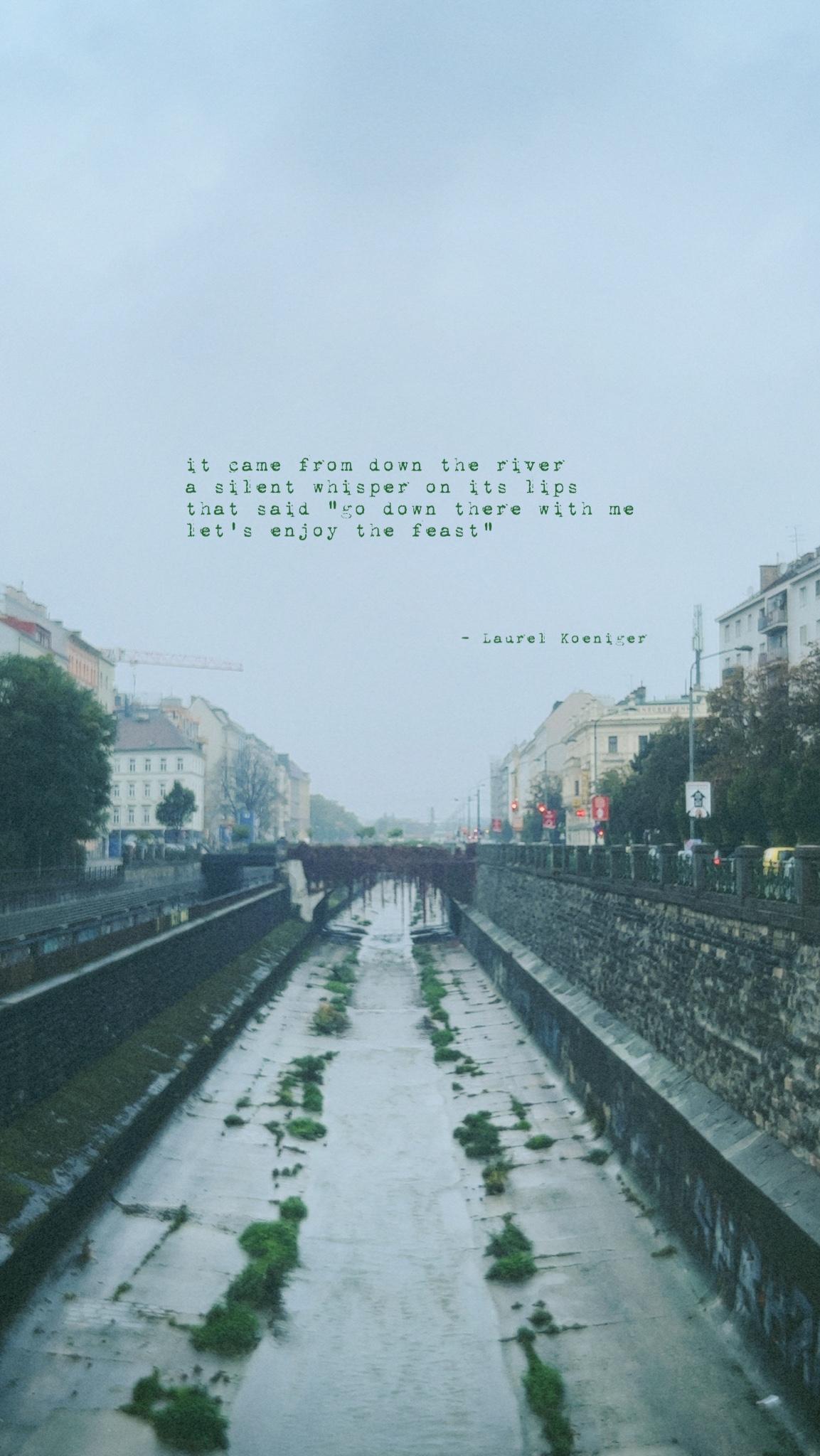 the river – Laurel Koeniger